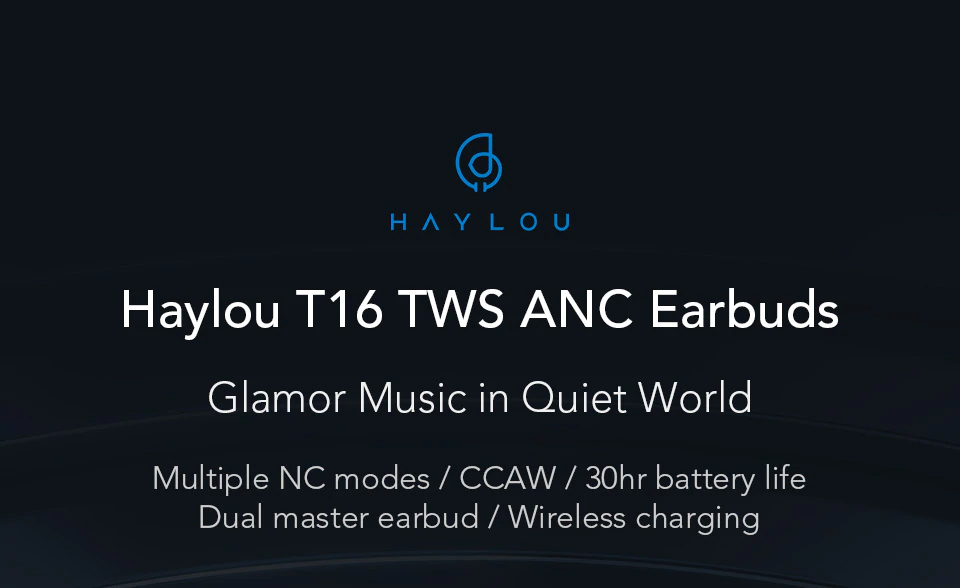 Haylou T16 TWS Earbuds